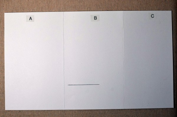 Slider Card Tutorial | I Played With Paper Today!